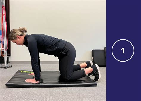 Core Strength Exercise The Bird Dog West End Physiotherapy