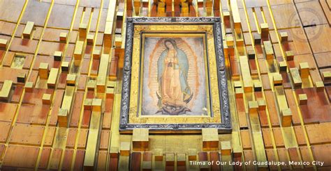 Fr Sean Connolly Pilgrimage To The Shrine Of Our Lady Of Guadalupe