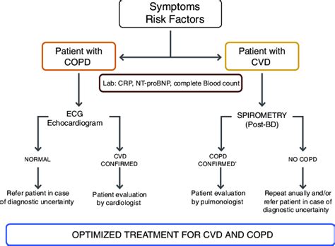 Proposed Evaluation Algorithm For Cvd In Stable Copd Download Scientific Diagram Proposed Evaluation Algorithm For Cvd In Stable Copd Download Scientific Diagram