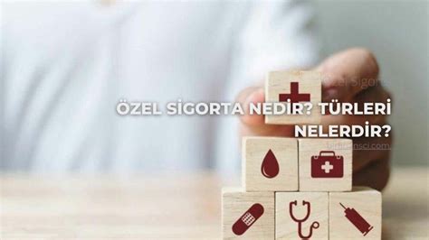 Özel Sigorta Nedir Türleri Nelerdir Bir Finansçı
