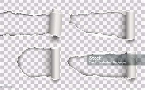 투명 한 배경에서 절연 압 연된 가장자리와 종이에 찢어진 벡터 구멍의 세트 종이에 대한 스톡 벡터 아트 및 기타 이미지 종이