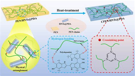 Schematic Diagram Of The Internal Structure Before And After Heat Download Scientific Diagram