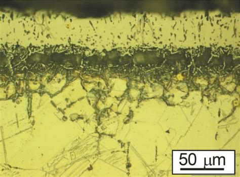 Light Micrographs Showing The Microstructure Of A Surface Layer Formed Download Scientific