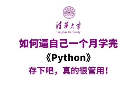 【全300集】一套可能是b站最系统的python零基础教程（理论 实战），2025最新版，小白逼自己一周学完，编程技术猛涨！存下吧，很难找全的