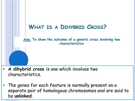 Genetics Chapter 3 Flashcards Quizlet