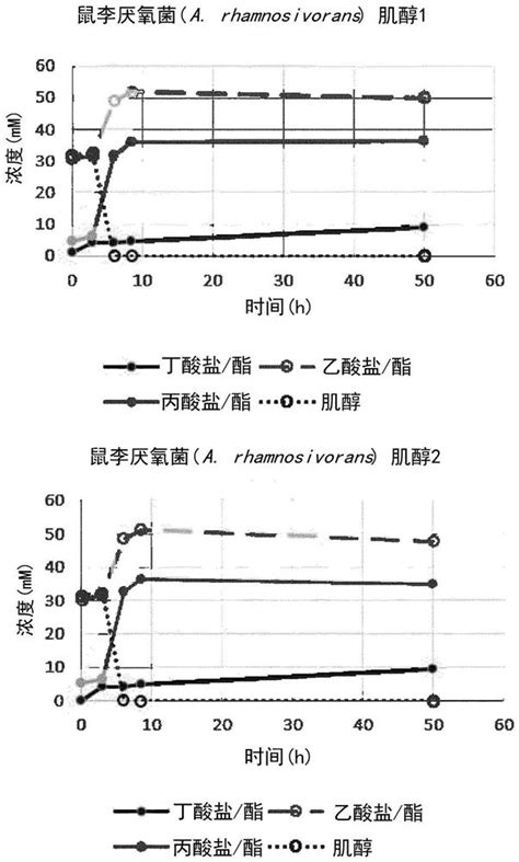 Bacteria Comprising Myo Inositol To Propionic Acid Pathway Eureka