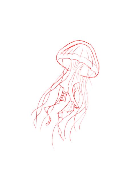 How To Draw A Jellyfish Step By Step Drawing Tutorials Artofit