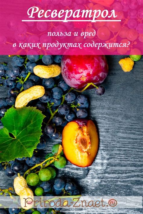 Ресвератрол что это такое Где содержится натуральный антиоксидант польза и вред от