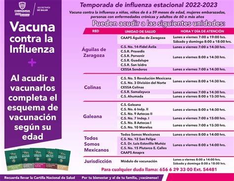 Influenza 2024 Minsal En Lacey Minnnie