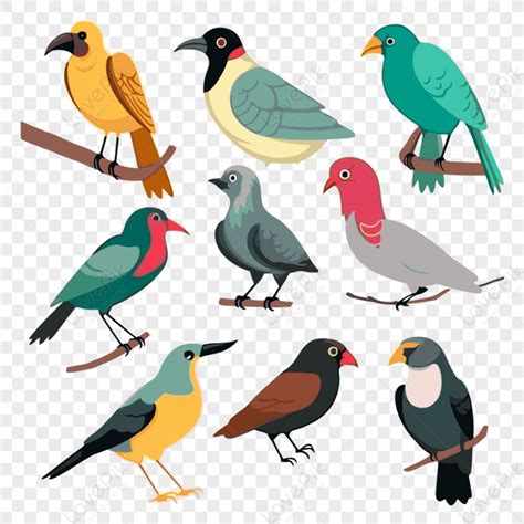 Aves 클립 아트 새 컬렉션에는 새 만화의 다른 색상이 포함되어 있습니다 벡터아베 Png 일러스트 무료 다운로드 Lovepik