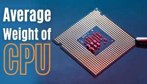 Average Weight Of CPU Know Your PC Hardware