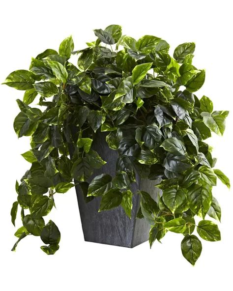 Buy Nearly Natural Hanging Pothos Nocolor At 26 Off Editorialist