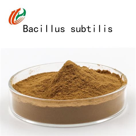 Bacillus Subtilis Probiotic