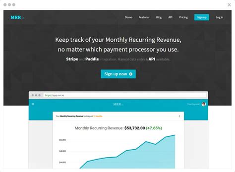 5 Cheap Stripe Analytics Software Track Your Revenues And Payments