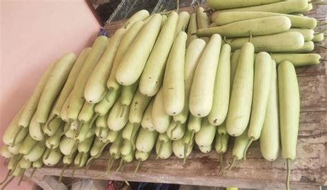 Sapne Me Kaddu Dekhna क्या सपने में कद्दू देखना माना जाता है अशुभ