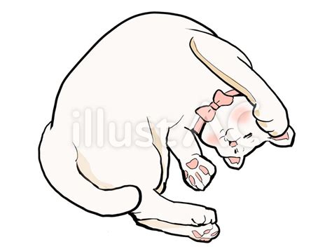 丸まった猫イラスト No 22400560無料イラストならイラストAC