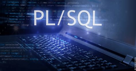What Is A Pl Sql Developer Qim Info