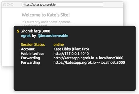 Open Source Ngrok Alternatives AlternativeTo