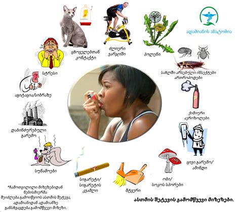 ადამიანის ანატომია