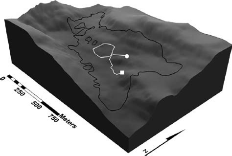 3D Representation Of The DEM Of The Study Site The Black Outlined