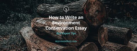 Easy Steps How To Write An Environment Conservation Essay Mycoursebay