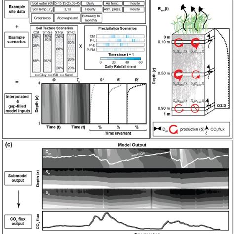 graphical representation of a the required inputs to the detect model