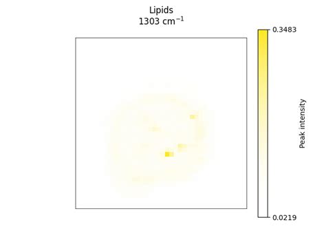 Cell Phenotyping Ramanspy