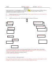 Pre Lab Microscopy Docx Name Lab Day Tuesdays Pre Lab Microscopy Lab Time