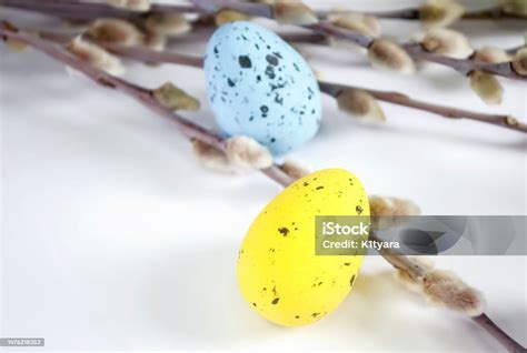 어린 가지 중에는 부활절 달걀이 있습니다 흰색 배경에는 부활절 달걀과 버드 나무 가지가 있습니다 부활절에 메추라기 알 0명에 대한 스톡 사진 및 기타 이미지 Istock
