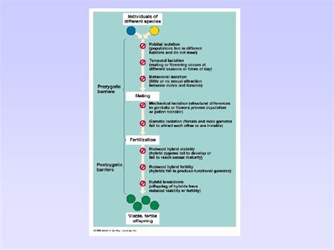 The Origin Of Species Macroevolution Biological Species Concept
