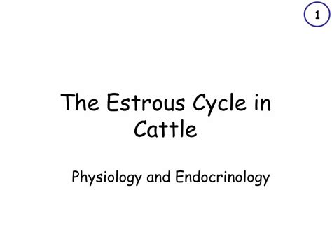 Pdf The Estrous Cycle In Cattle Adairdocuments