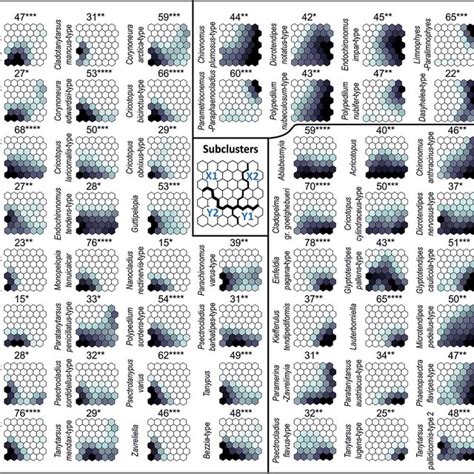 Seventy Nine Non Empty Core Samples Assigned To 42 Self Organising Map Download Scientific