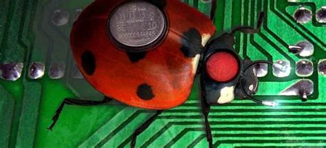 What Bug Tracking System To Use Part 1 QATestLab Blog