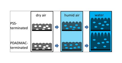 Swelling Of Polyelectrolyte Multilayers The Relation Between Surface And Bulk Characteristics