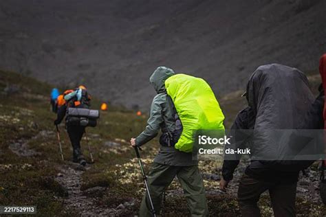 캠핑 장비와 레인 커버를 가지고 험준한 지형을 트레킹하는 등산객 그룹 거친에 대한 스톡 사진 및 기타 이미지 거친 걷기 결심 Istock