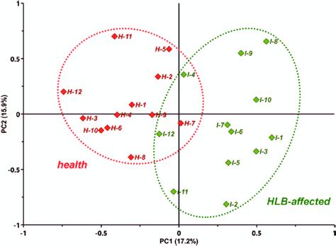 Score Plot Of Principal Component Analysis PCA Visualizing Download Scientific Diagram