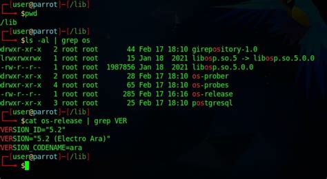So Sánh Kali Linux Vs Parrot Os Bản Phân Phối Pentesting Nào Là Tốt