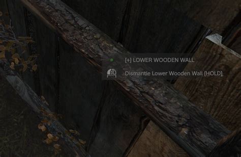 To Raid Or Not To Raid R Dayz