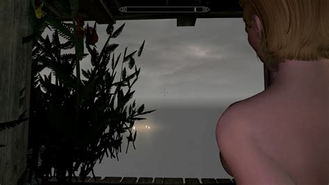 Invisible Partswalls In A Cellroom Technical Support Skyrim