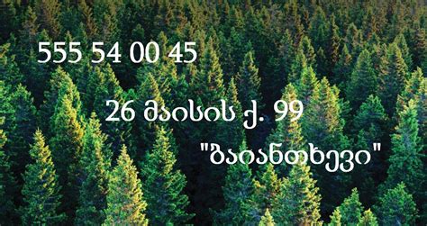 საოჯახო საოჯახო სასტუმრო მწვანე სახლი წაღვერში