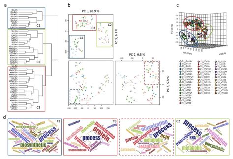 Hierarchical Clustering And PCA Analysis Illustrate Time Pretreatment Download Scientific