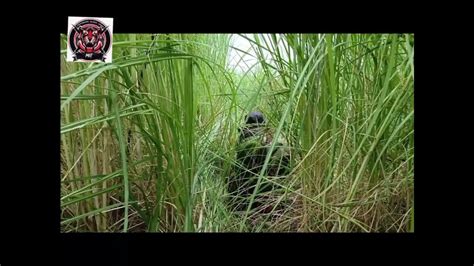 ငြိမ်းဇာနည်စစ်စခန်းရှိ စစ်ကောင်စီစစ်သားများ တိုက်ခိုက်ခံရ Youtube