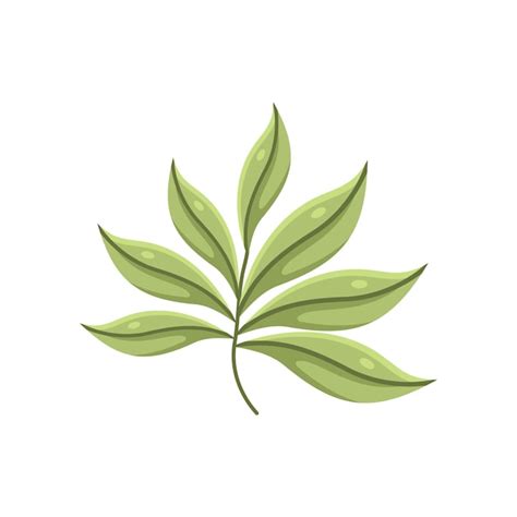 Premium Vector Leaf Element Ornament Design