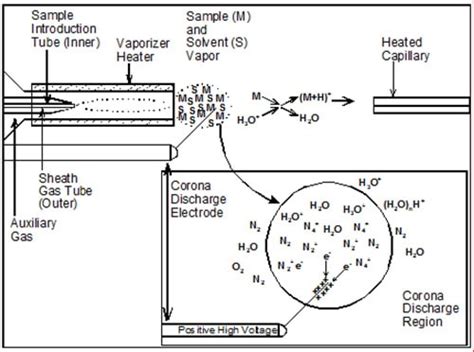 Parallel Mass Spectrometry Apci Ms And Esi Ms For Lipid Analysis Aocs