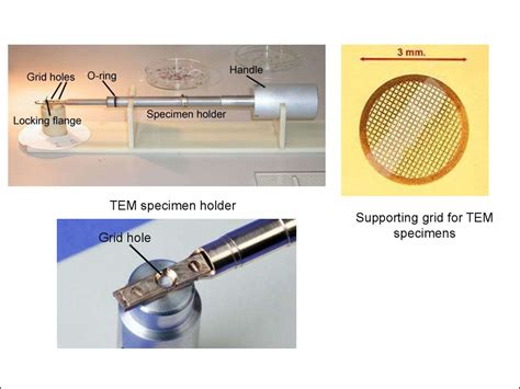 Cross Section Sample Preparation Using Focused Ion Beam System Fib For Transmission Electron