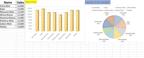 crafting dynamic graphs insightful charts freelancer