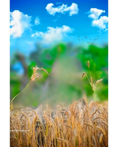 Loving CB Background HD Full Size