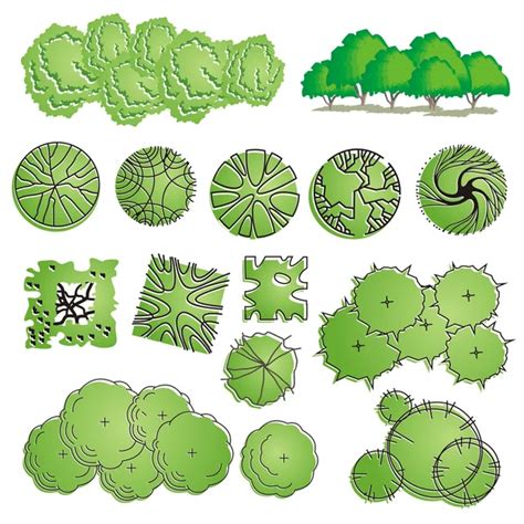 Trees And Bush Item Top View Top Side For Landscape Design Vector