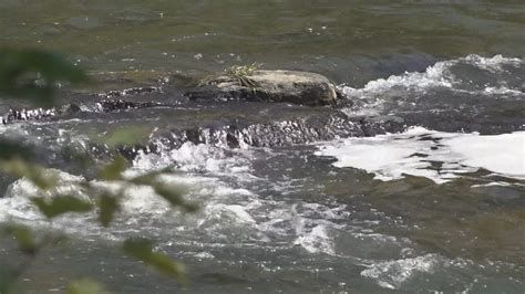 Pennsylvania DEP To Increase PFAS Monitoring In Rivers And Streams Fox43 Com