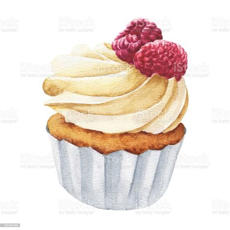 흰색 배경에 고립 된 손으로 그린 수채화 도넛 맛있는 음식 일러스트 컵케이크에 대한 스톡 벡터 아트 및 기타 이미지 컵케이크 흰색 배경 달콤한 음식 Istock
